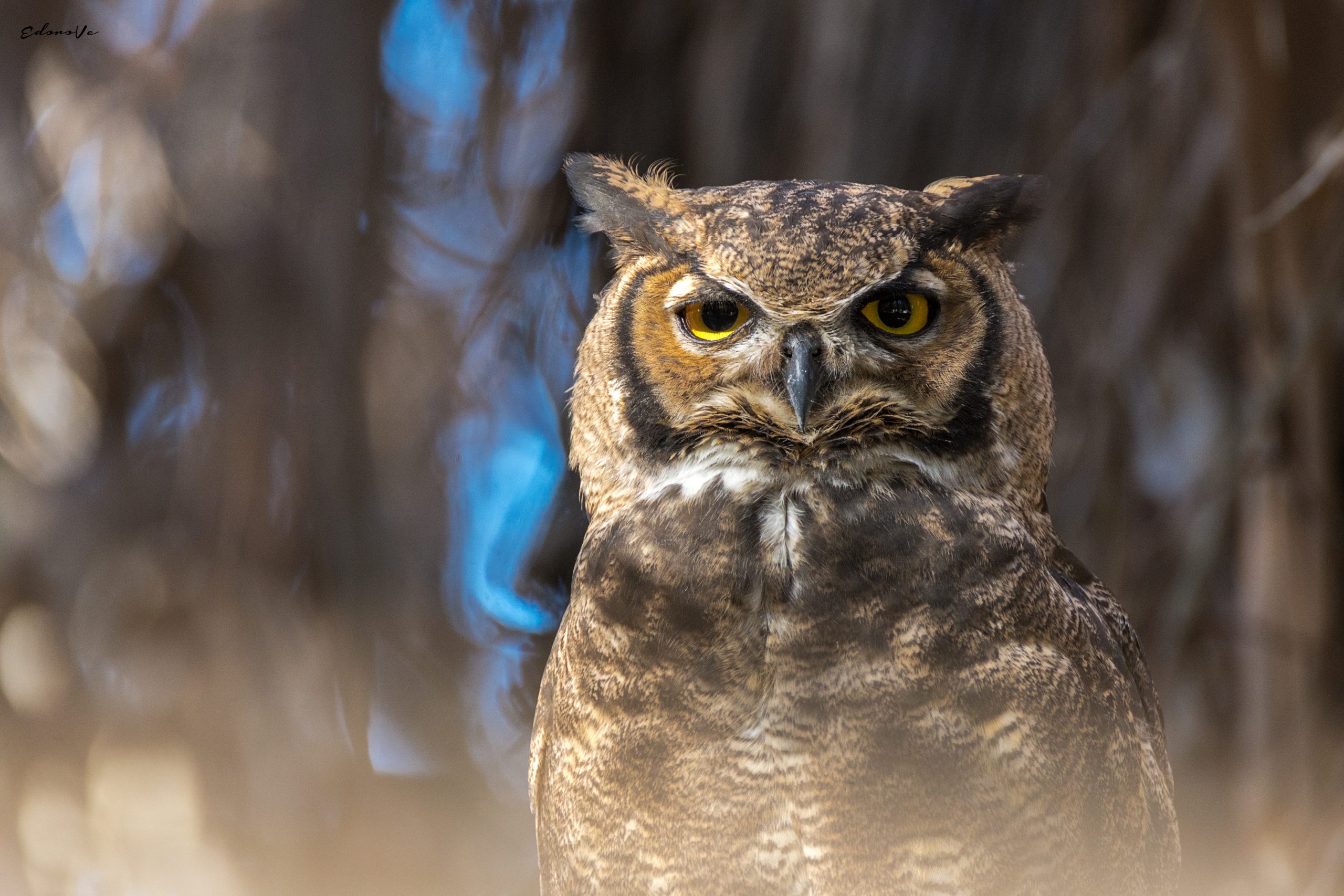Altos de Cantillana, un tesoro natural en las cercanías de Santiago ...