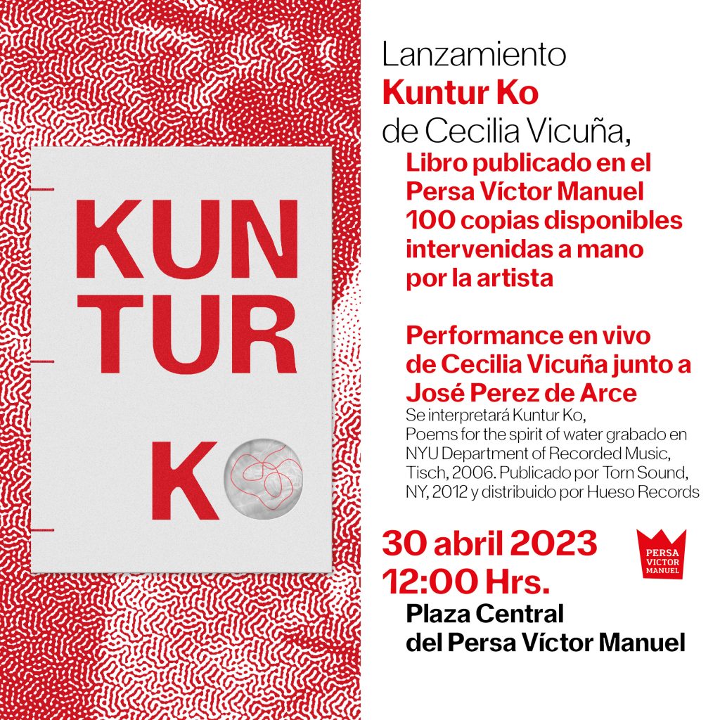 Cecilia Vicuña realizará performance gratuita en Persa Victor Manuel ...
